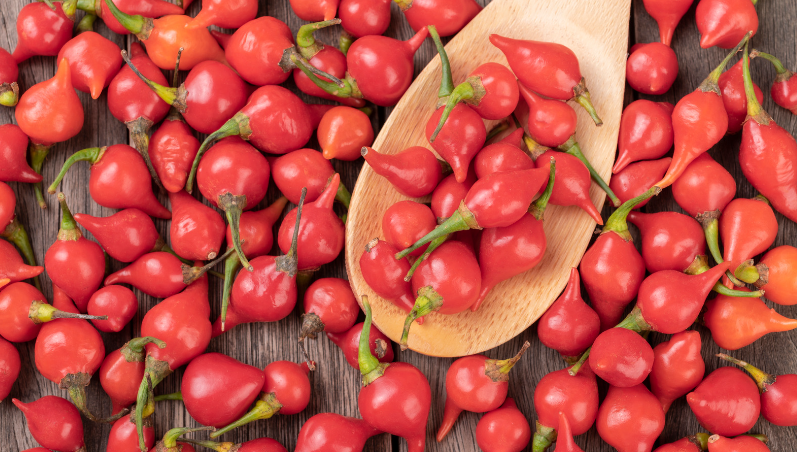 Lunactive CCPB - LunaGreen Bioativos